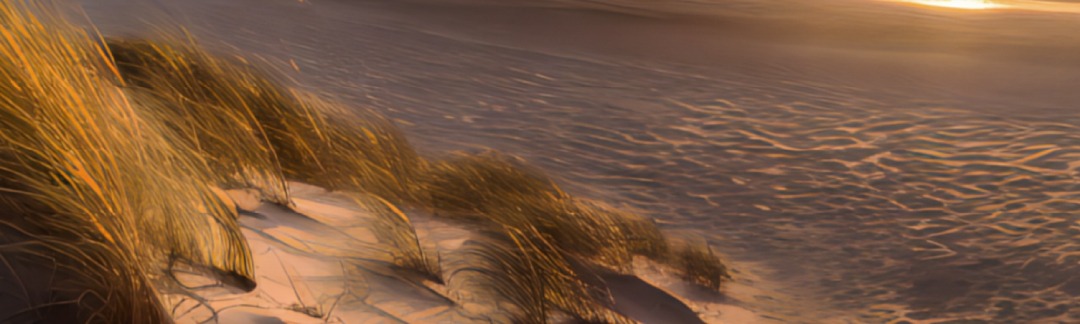 Unlock your working capital potential with SAP Taulia Payables | SAP Taulia