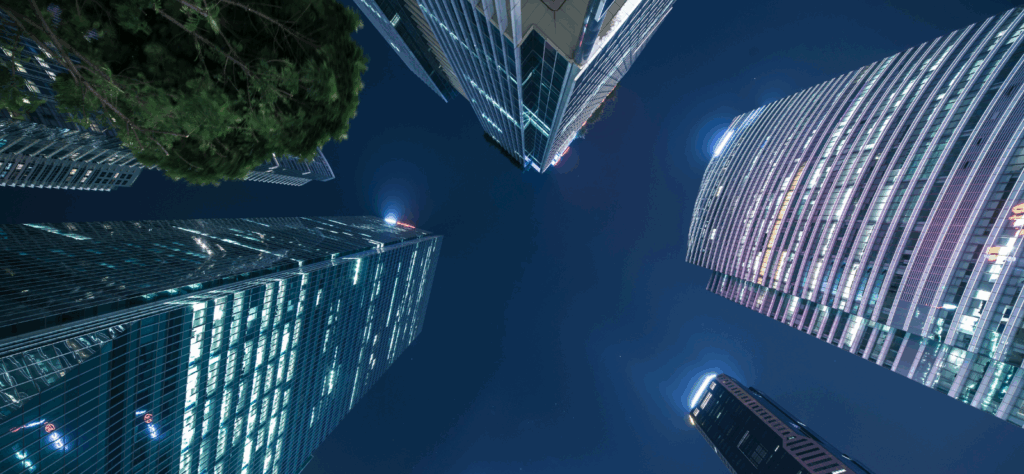 Programmable payments and the future of finance automation | SAP Taulia